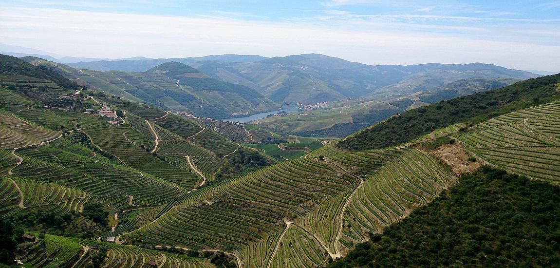 EN 222 | IP Patrimonio | Infraestruturas de Portugal